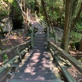 Flowerpot Island Loop Trail, Ontario, Canada - 409 Reviews, Map | AllTrails