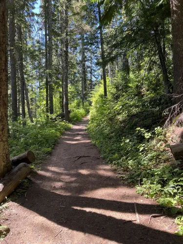 Best Short Trails in Mount Spokane State Park | AllTrails