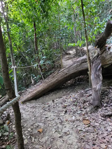 10 Best Trails and Hikes in Perak | AllTrails
