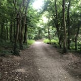 Tehidy Wood Circular, Cornwall, England - 87 Reviews, Map | AllTrails