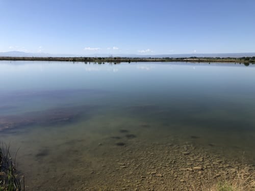 Best Hikes and Trails in Sweitzer Lake State Park | AllTrails