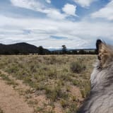 Turret Trail, Colorado - 315 Reviews, Map | AllTrails