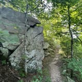 Silver Mine Trail, Missouri - 239 Reviews, Map | AllTrails