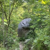 Silver Mine Trail, Missouri - 239 Reviews, Map | AllTrails