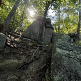Silver Mine Trail, Missouri - 239 Reviews, Map | AllTrails