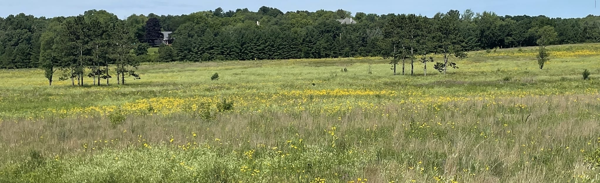 Prairie Path | Map, Guide - Wisconsin | AllTrails