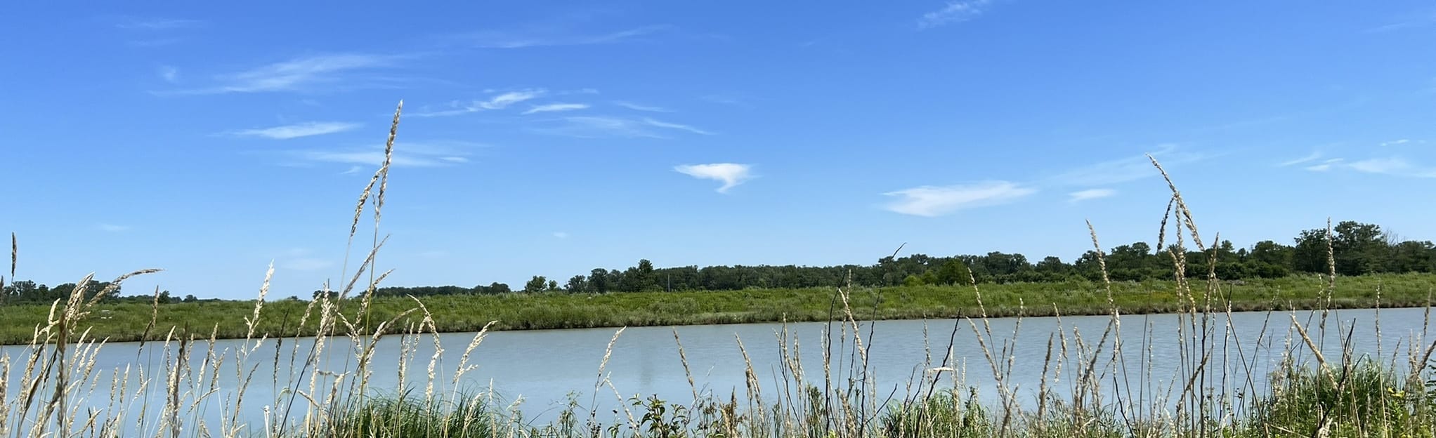 Eagle Marsh Towpath, Indiana - 136 Reviews, Map | AllTrails