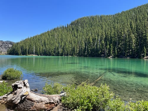 Best 10 Hikes and Trails in Three Sisters Wilderness | AllTrails