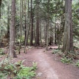 Cross Island Trail, Washington - 45 Reviews, Map | AllTrails