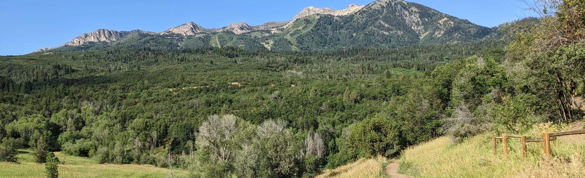 Middle Fork Wheeler Creek - Utah | AllTrails