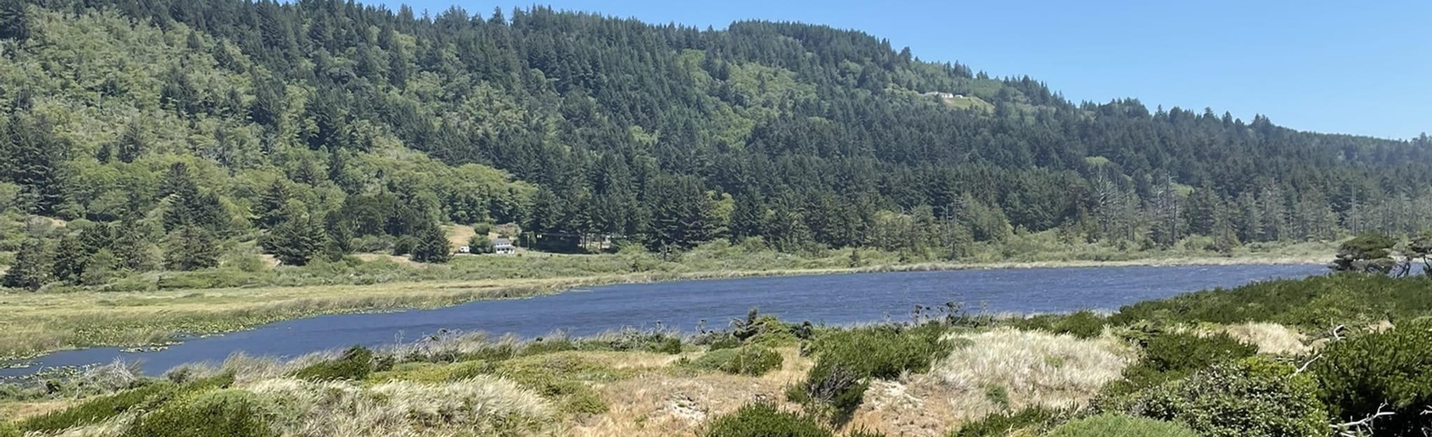 Lily Lake Loop, Oregon - 24 Reviews, Map | AllTrails