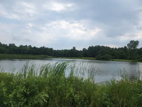 Best Hikes and Trails in Myeerah Nature Preserve | AllTrails