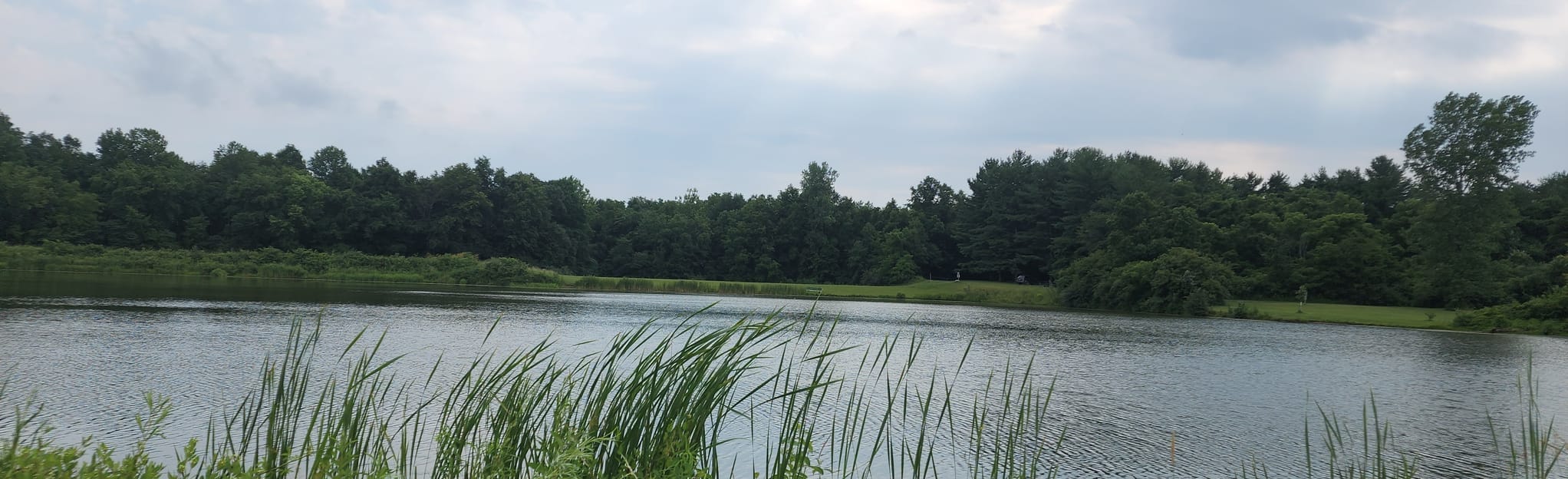 Myeerah Orange Outer Loop, Ohio - 248 Reviews, Map | AllTrails