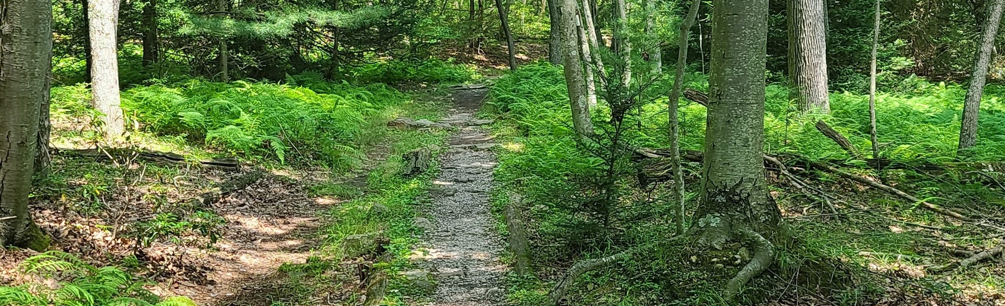 Hosack Run Loop via Appalachian Trail, Pennsylvania - 684 Reviews, Map ...