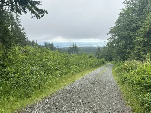 10 Best Trails and Hikes in Sedro-Woolley | AllTrails