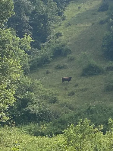 Best River Trails in Baldwin | AllTrails