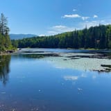 Boreas Ponds Trail, New York - 68 Reviews, Map | AllTrails