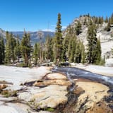Ten Lakes Trail, California - 450 Reviews, Map | AllTrails