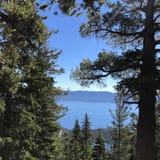 Bayview Trail to Velma Lakes, California - 401 Reviews, Map | AllTrails