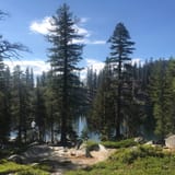 Bayview Trail to Velma Lakes, California - 347 Reviews, Map | AllTrails