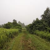 Morgan Run Natural Environmental Area Trails, Maryland - 380 Reviews ...