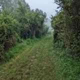 Morgan Run Natural Environmental Area Trails, Maryland - 380 Reviews ...