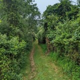 Morgan Run Natural Environmental Area Trails, Maryland - 380 Reviews ...