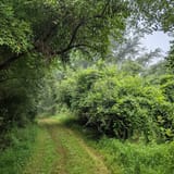 Morgan Run Natural Environmental Area Trails, Maryland - 380 Reviews ...