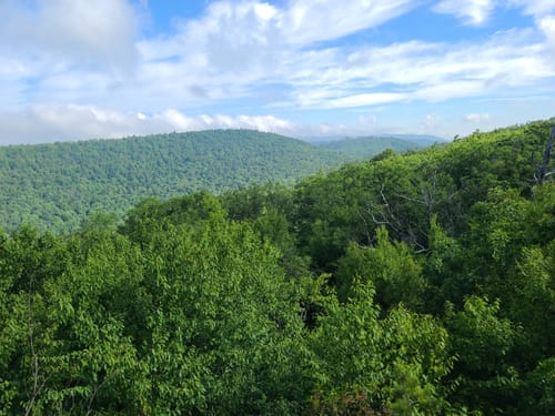 2023 Best 10 Trails and Hikes in Fort Valley | AllTrails