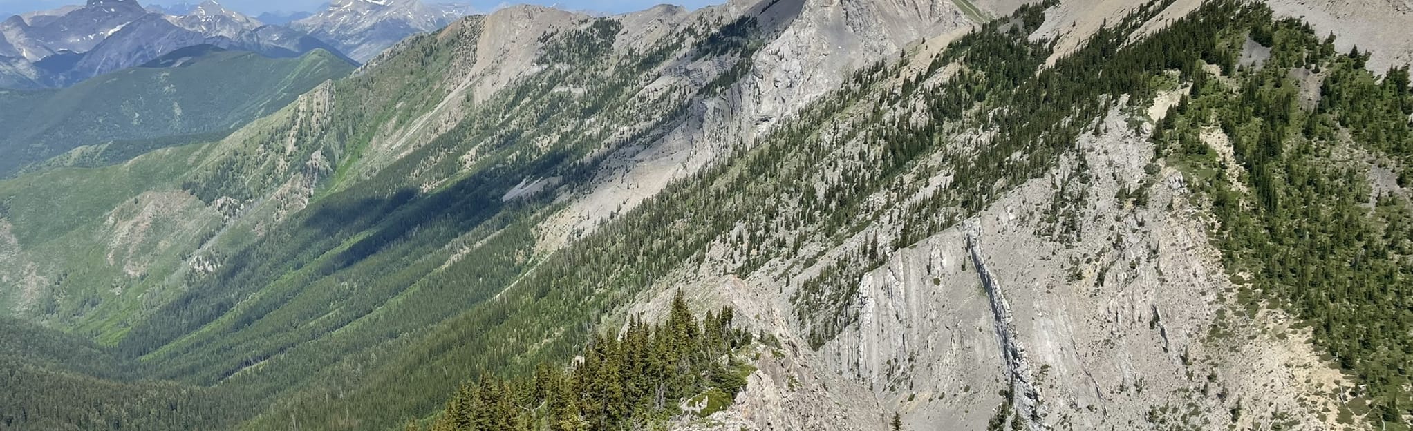 Mount Hosmer Trail: 98 Reviews, Map - British Columbia, Canada | AllTrails