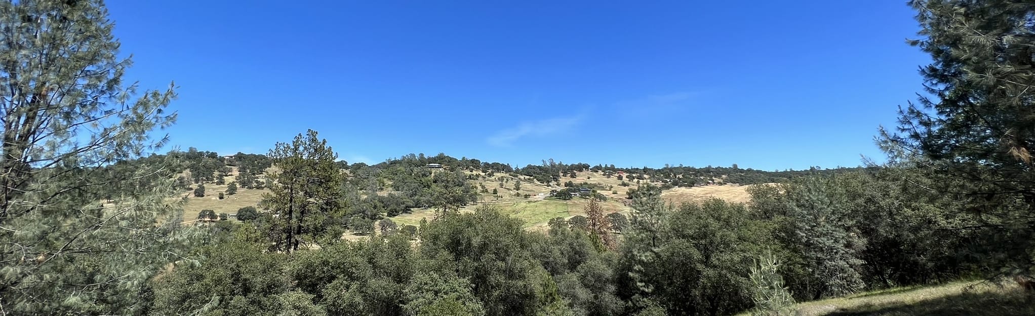 Blue Oak Loop Trail: 111 Reviews, Map - California | AllTrails