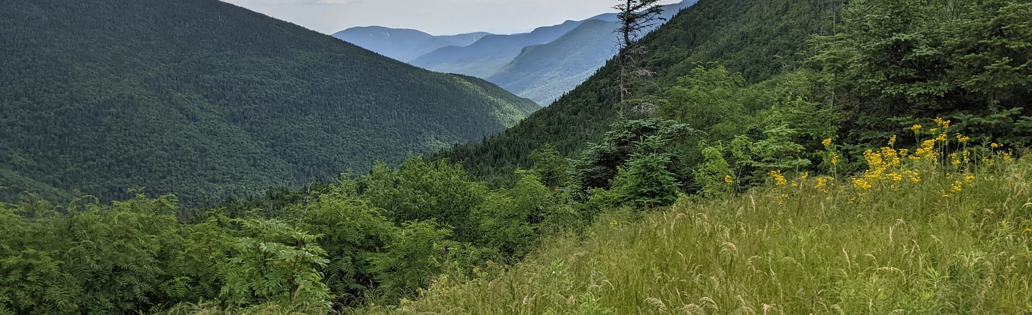 Gale River Trail to Bondcliff Trail to Lincoln Woods Trail: 23 Reviews ...