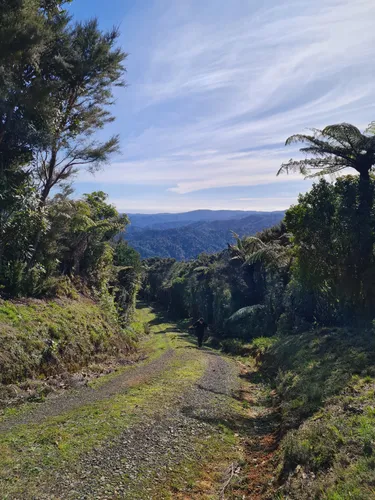 Best 10 Hikes and Trails in Hunua Ranges Regional Park | AllTrails