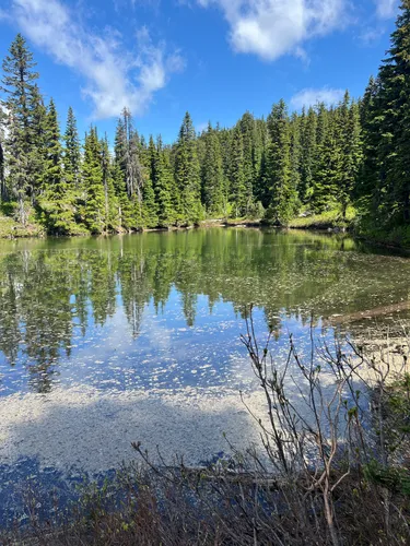 2023 Best 10 Forest Trails in Alpine Lakes Wilderness | AllTrails