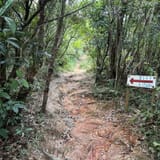 Mount Ishikawa Loop, Okinawa, Japan - 205 Reviews, Map | AllTrails