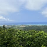 Mount Ishikawa Loop, Okinawa, Japan - 205 Reviews, Map | AllTrails
