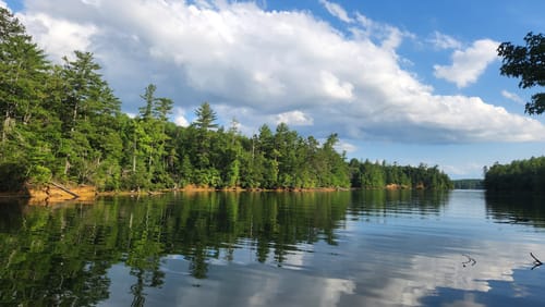 Best Hikes and Trails in Fonta Flora County Park | AllTrails