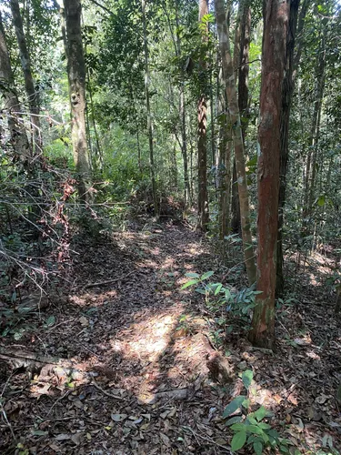 10 Best Trails and Hikes in Gerik | AllTrails