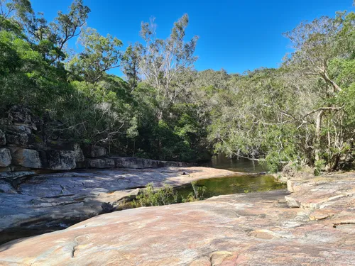 2023 Best Trails, Walks, and Paths in Wangetti | AllTrails