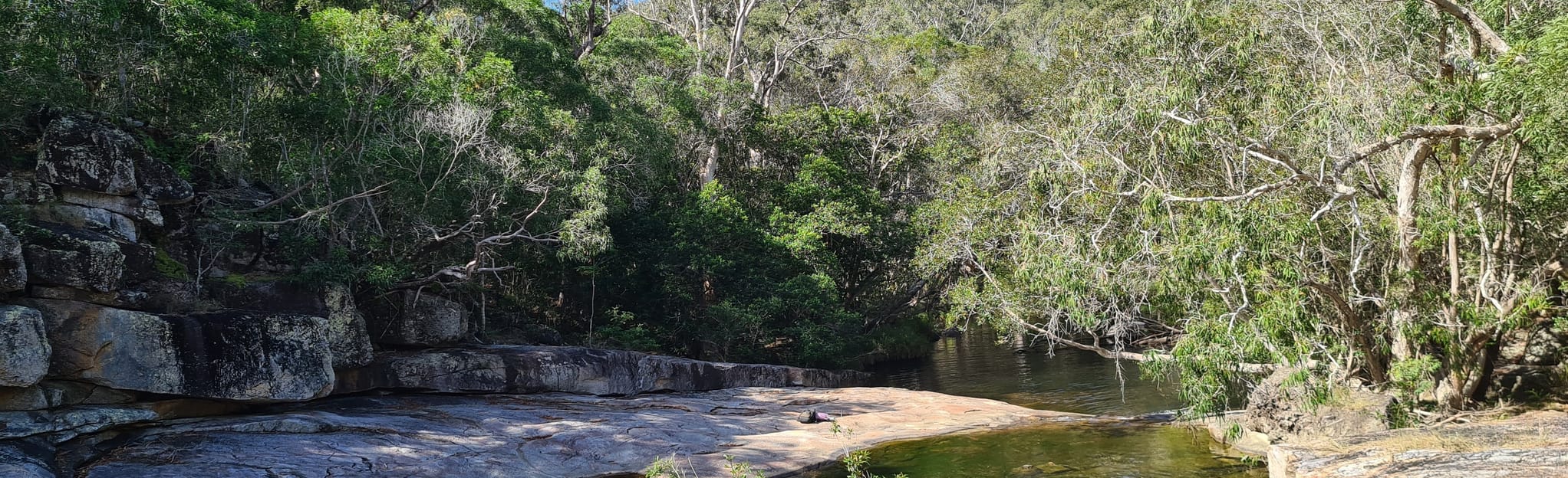 Hartleys Creek Falls: 358 foton – Queensland, Australien | AllTrails
