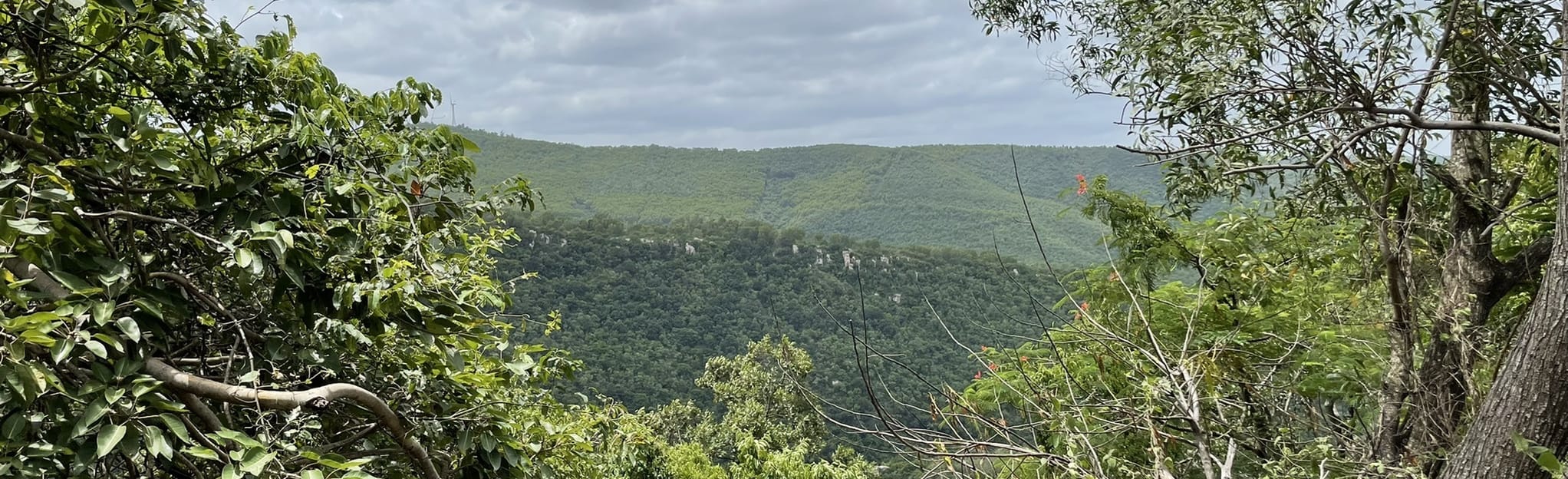 Tirumala Tirupati Balaji Temple, Andhra Pradesh, India - 38 Reviews ...