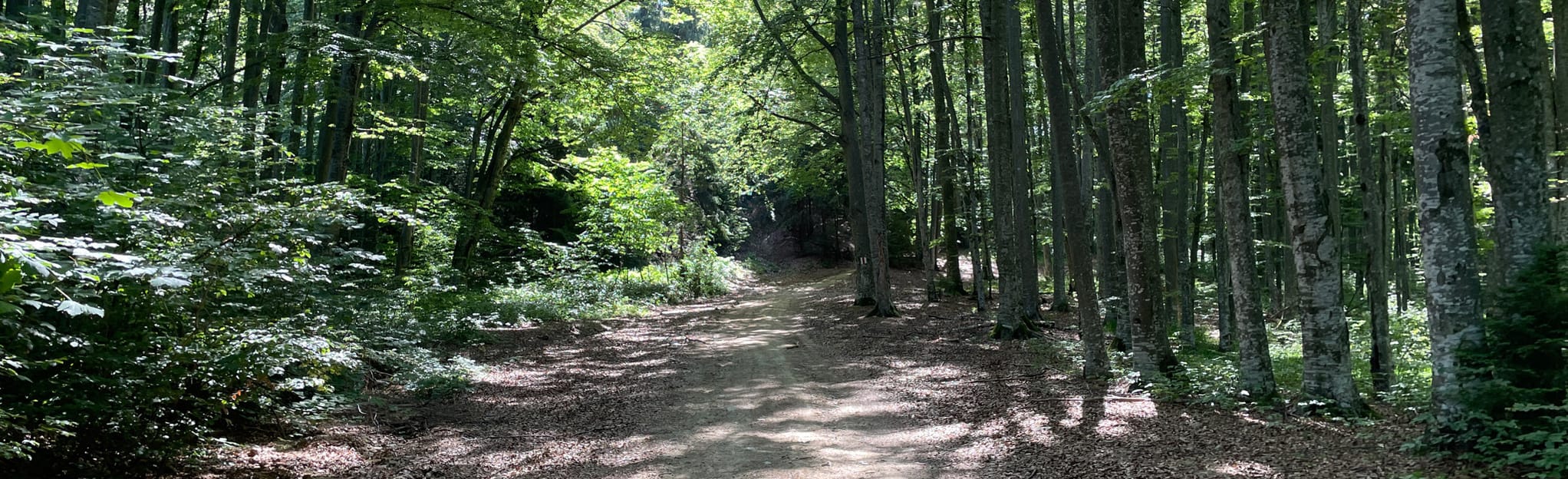 Borlova – Fântâna Voinii – Complexul turistic ,,Muntele Mic”: 12 Fotos ...