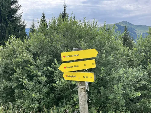 2023 Best Forest Trails in Radfeld | AllTrails