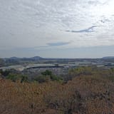 Wonderboom Hiking Trail, Gauteng, South Africa - 129 Reviews, Map ...
