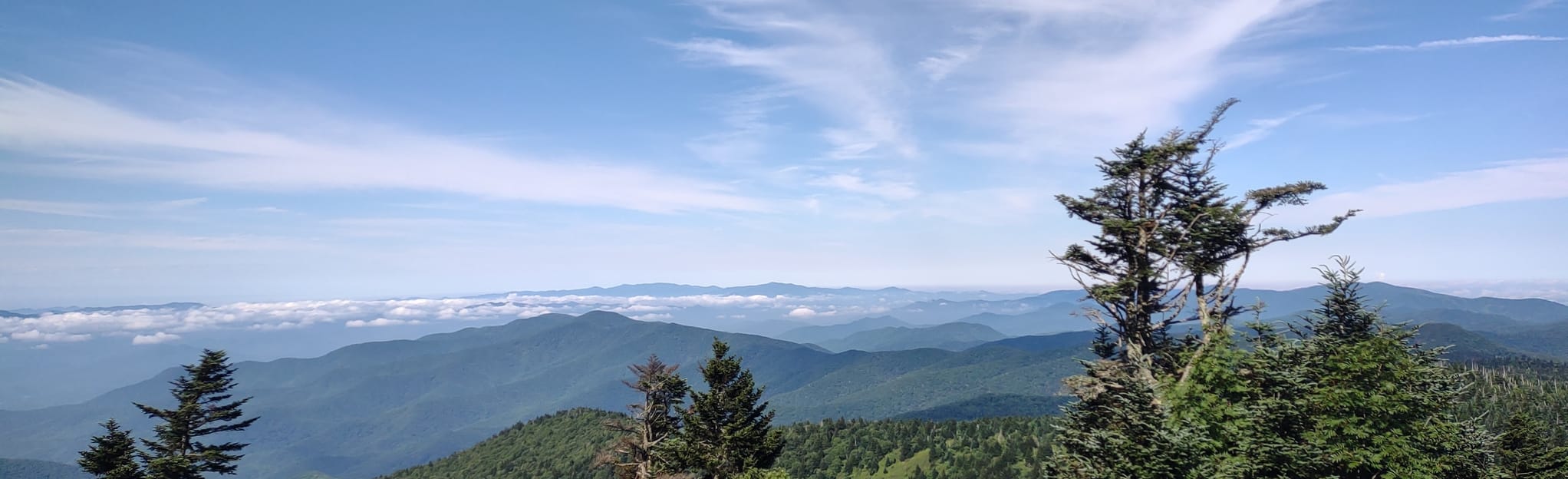 Silers Bald and Forney Creek Loop Trail: 3.409 foto's - North Carolina ...