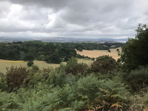 10 Best Short Trails in Quantock Hills National Landscape (AONB ...