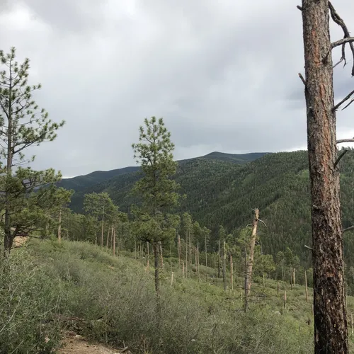 2023 Best River Trails in Chimayo | AllTrails