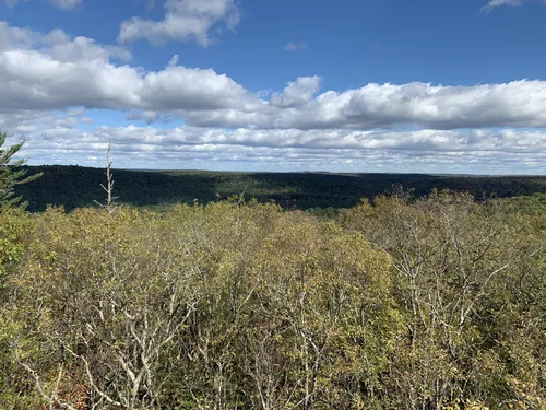 10 Best Hikes and Trails in Cook Forest State Park | AllTrails