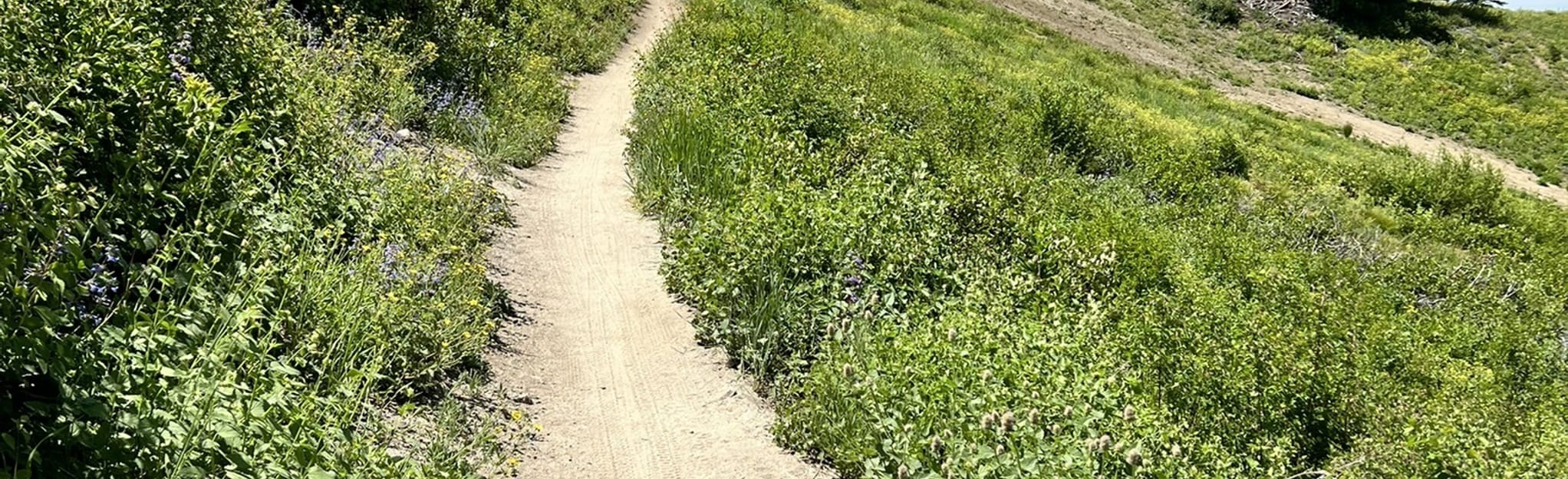 AllTrails | Elk Meadows Trail via Deer Point Trail: 65 Reviews, Map - Idaho