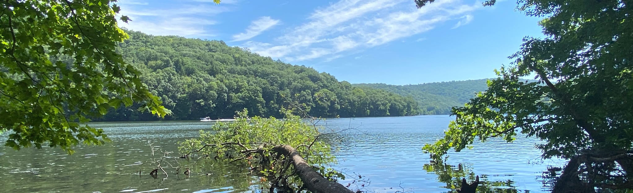 Zoar Trail, Connecticut - 2,034 Reviews, Map | AllTrails